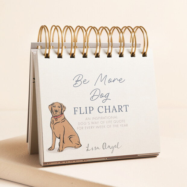 Be More Dog Desktop Flip Chart – Zebra Blush